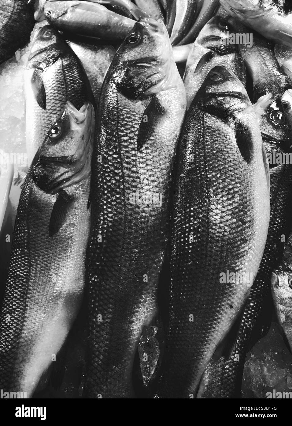 Cod Black and White Stock Photos & Images - Alamy