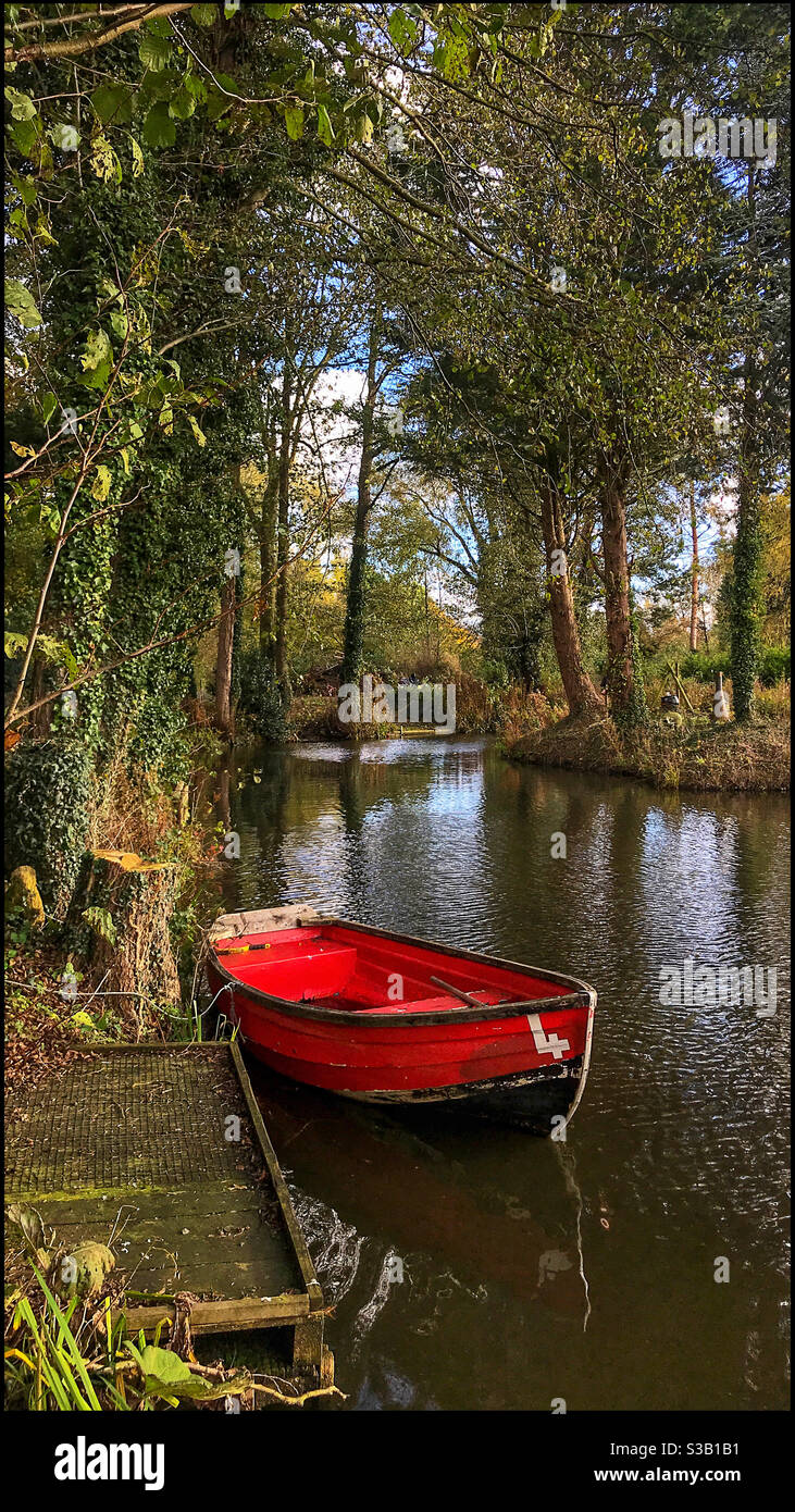 Red rowing boat on water in a wood Stock Photo - Alamy