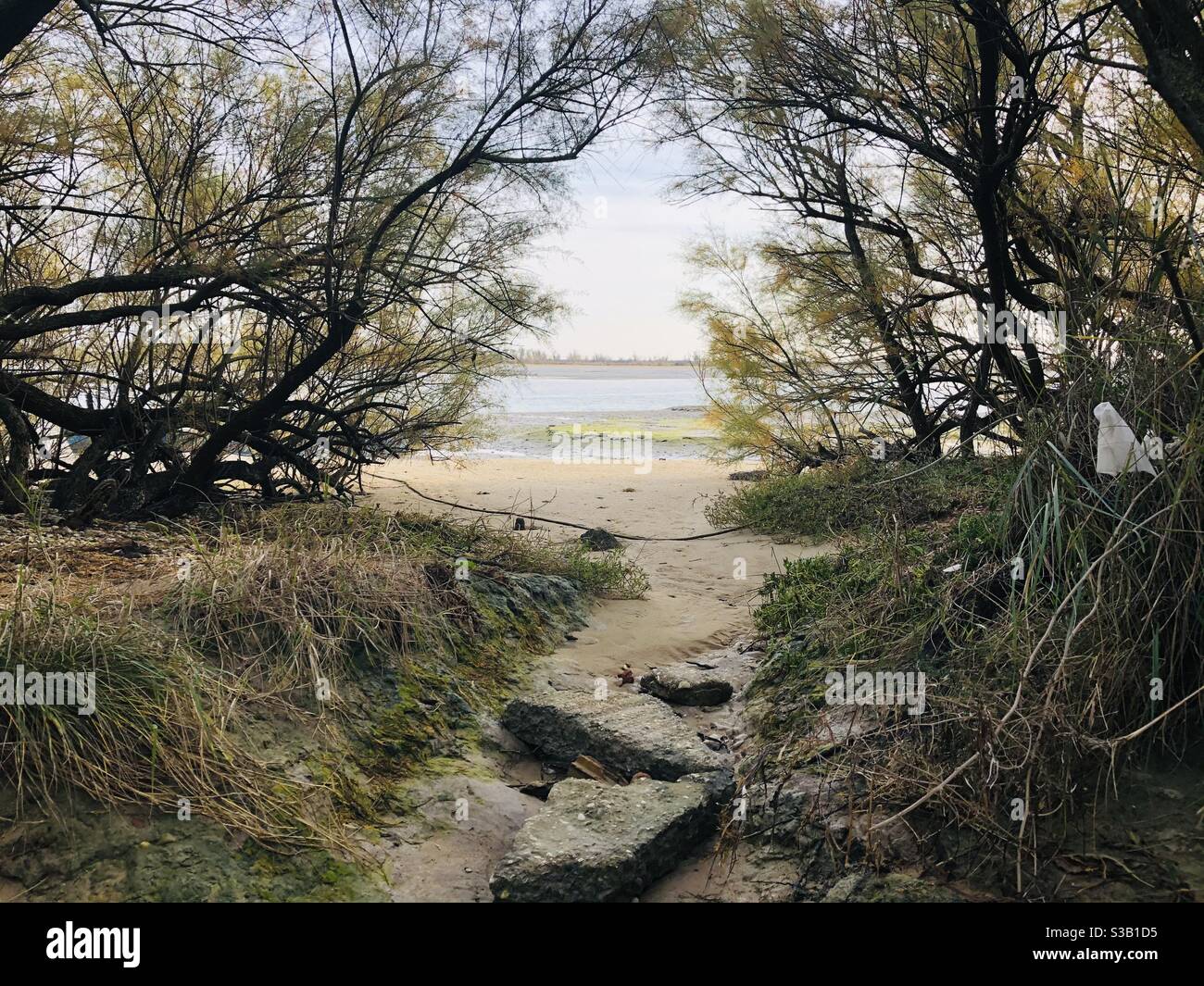 Laguna Venezia High Resolution Stock Photography and Images - Alamy