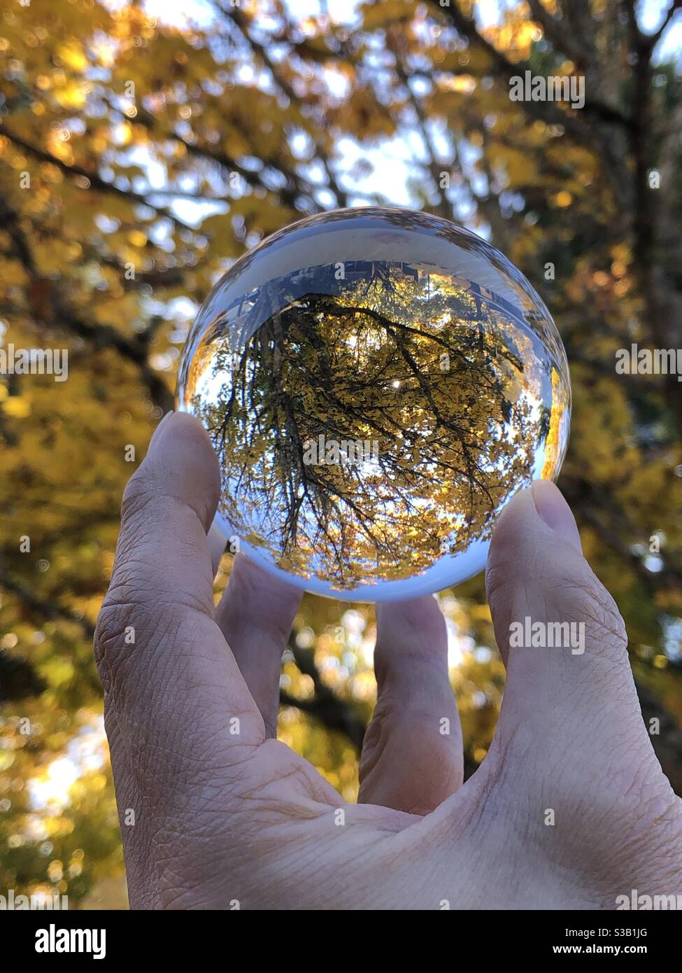 Glass Orb High Resolution Stock Photography and Images - Alamy