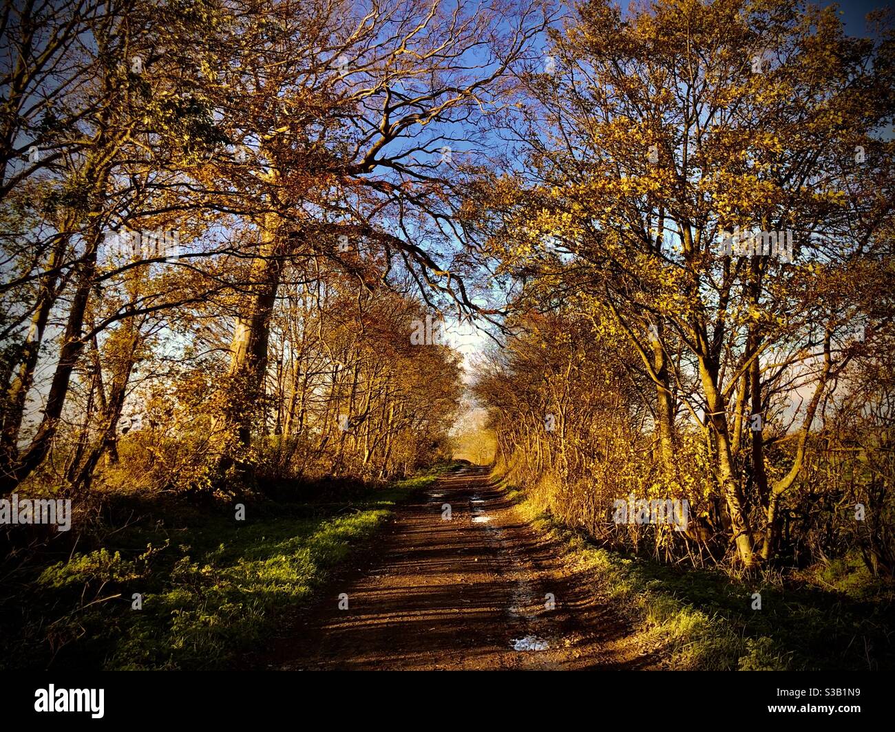 Grendon hi-res stock photography and images - Alamy