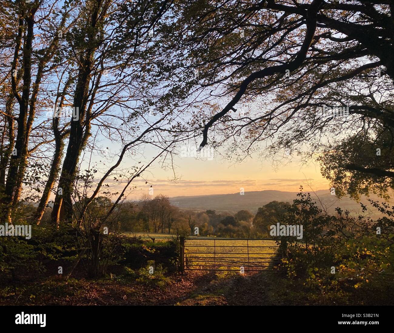 Shute devon hi-res stock photography and images - Alamy