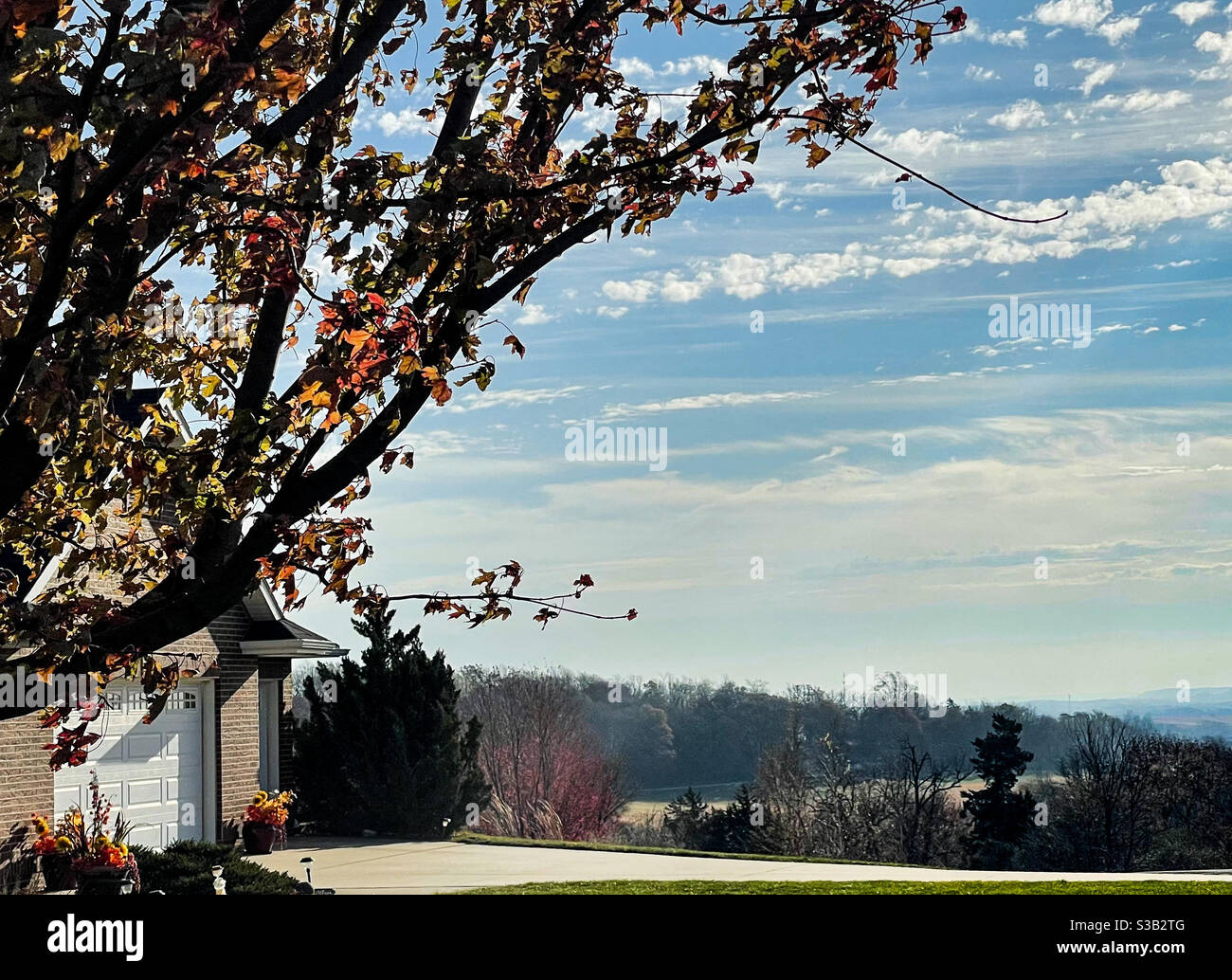 Trees shedding leaves hi-res stock photography and images - Alamy