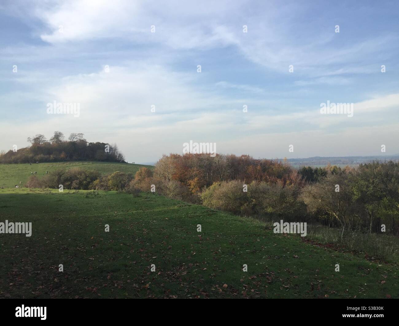 Grass trees hilltop hi-res stock photography and images - Alamy