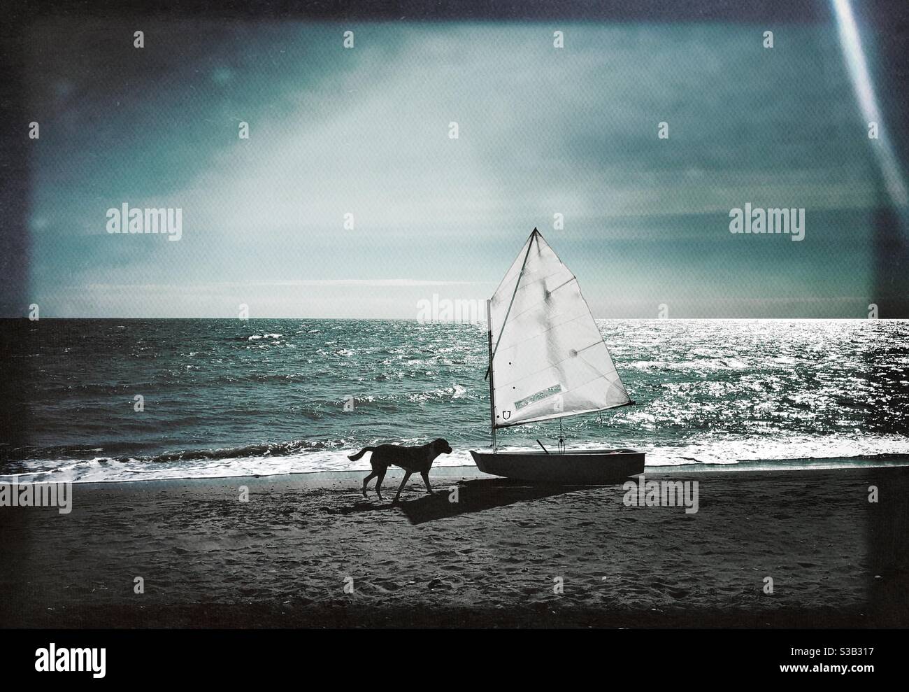 Silhouette of a dog standing next to a small sailing boat on the beach ...