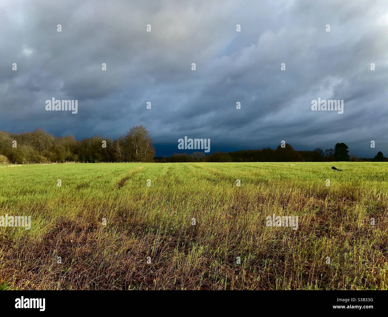 Winter landscape at countryside with linen fields and dark sky Stock ...