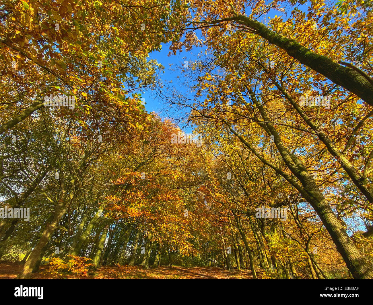 Adlington lancashire hi-res stock photography and images - Alamy