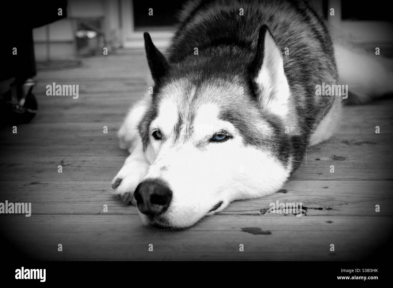 Total relax hi-res stock photography and images - Alamy