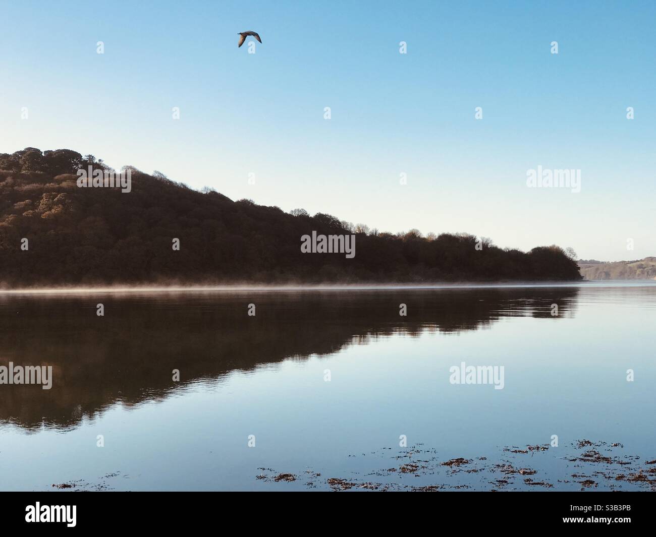 Turnaware hi-res stock photography and images - Alamy