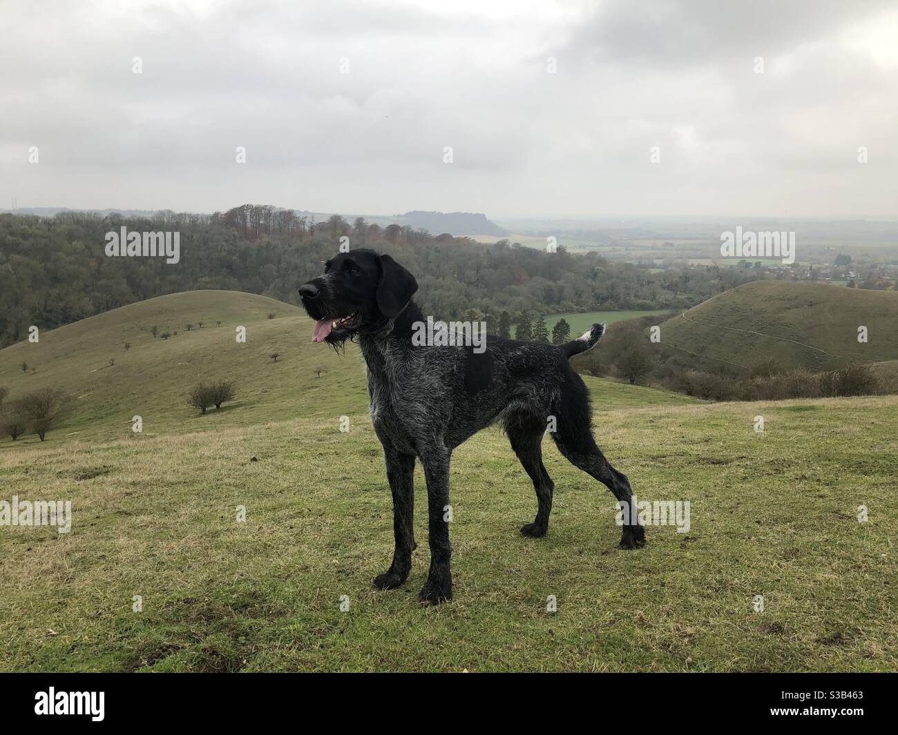 Defensive stance hi-res stock photography and images - Alamy