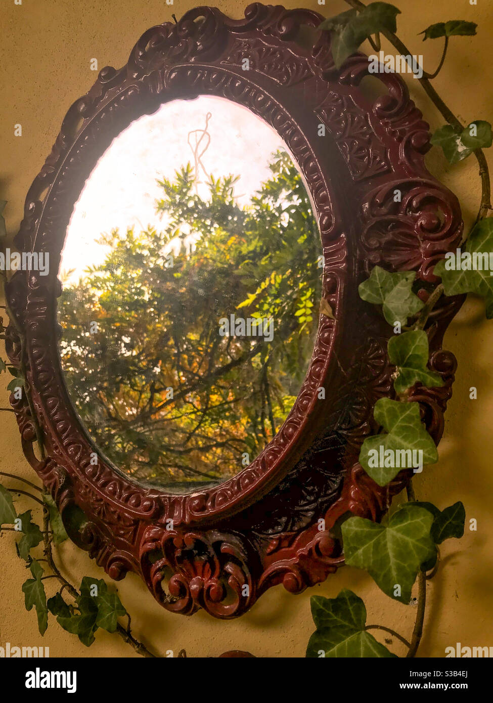 Yellow mirror hi-res stock photography and images - Alamy