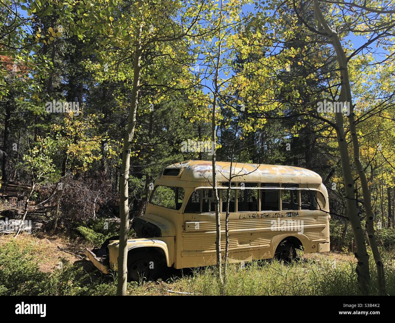 Bus nature hi-res stock photography and images - Alamy