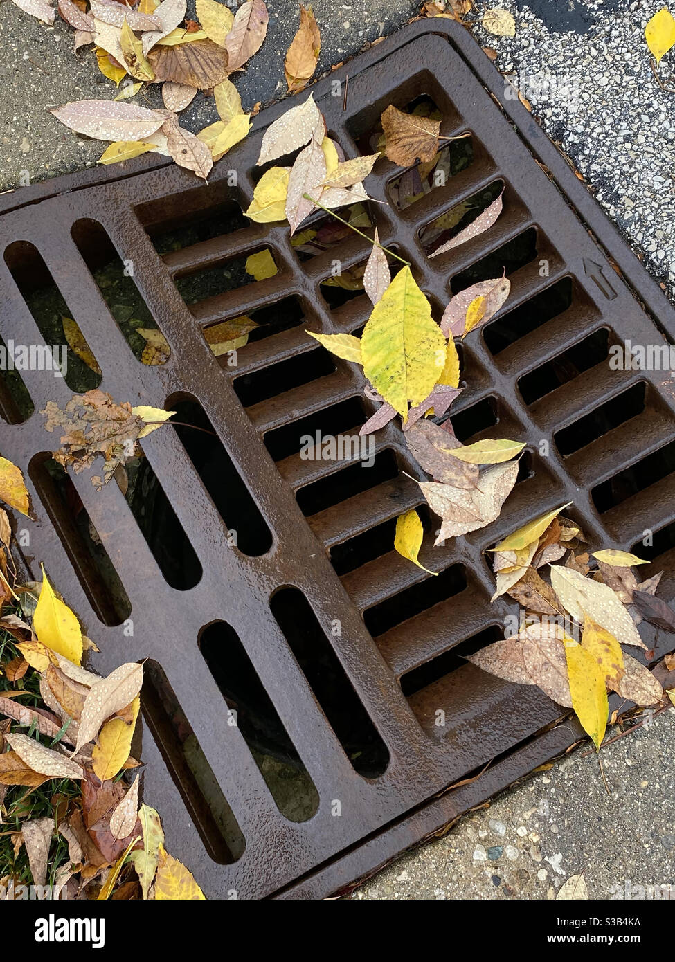 Drain gutter in the road hi-res stock photography and images - Alamy