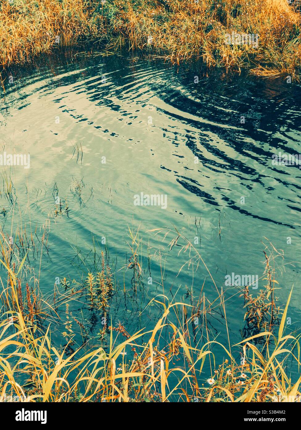 Dark ponds hi-res stock photography and images - Alamy