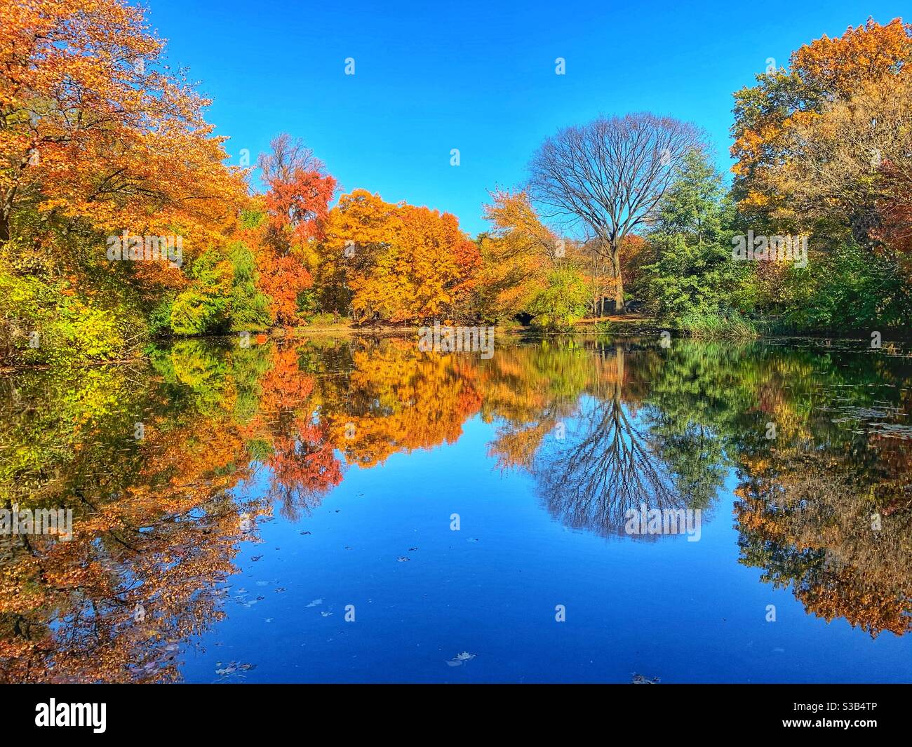 Fall foliage prospect park hi-res stock photography and images - Alamy