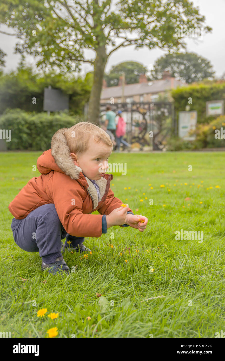 Child in the field hi-res stock photography and images - Alamy