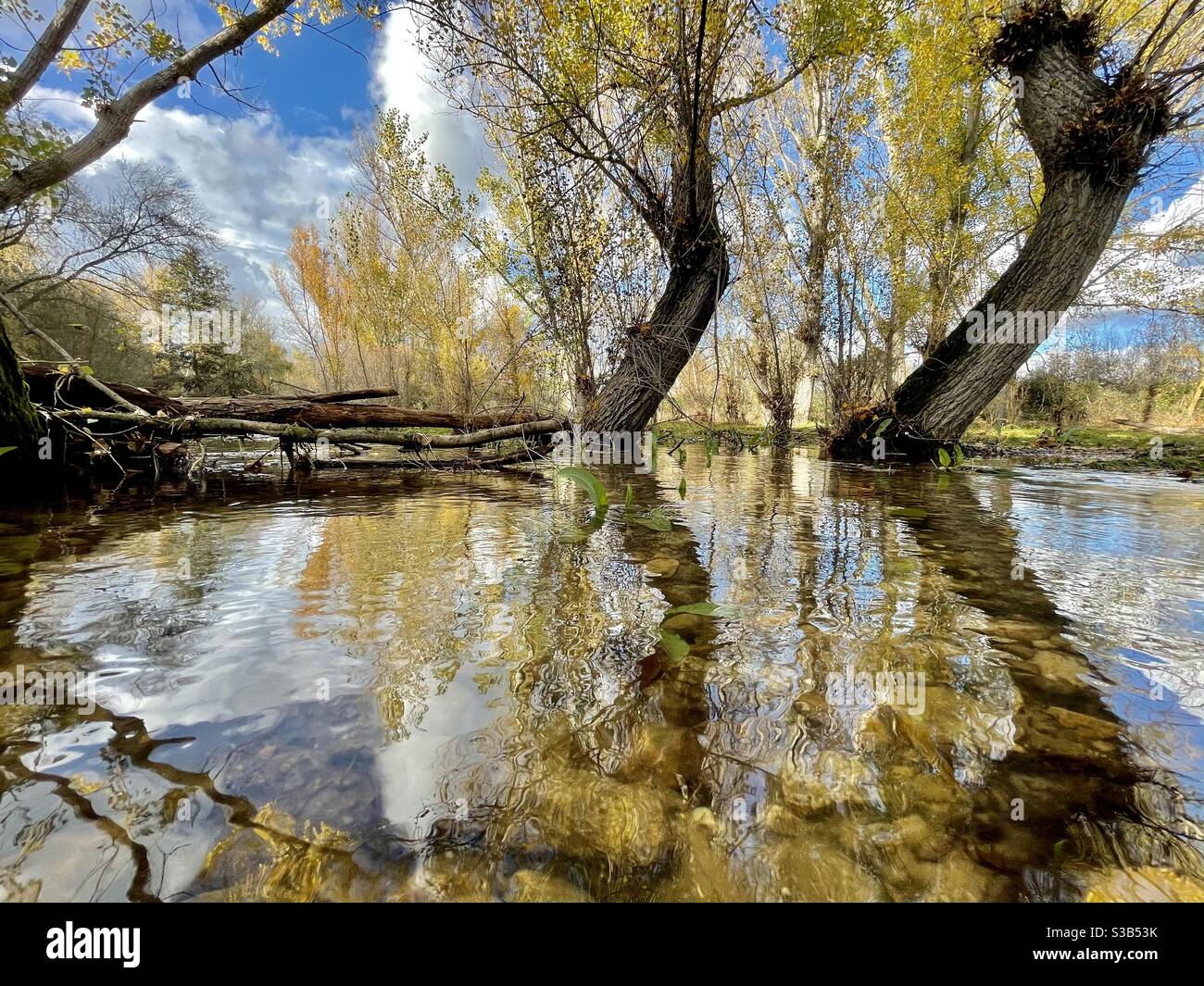 An area flooded with water from a river after heavy rains, with fallen ...