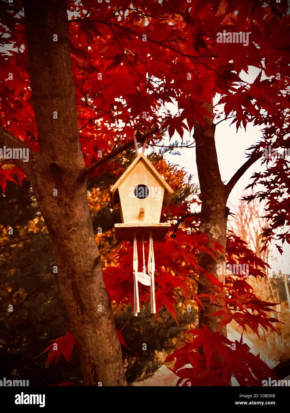 Little Yellow Birdhouse Stock Photo - Alamy