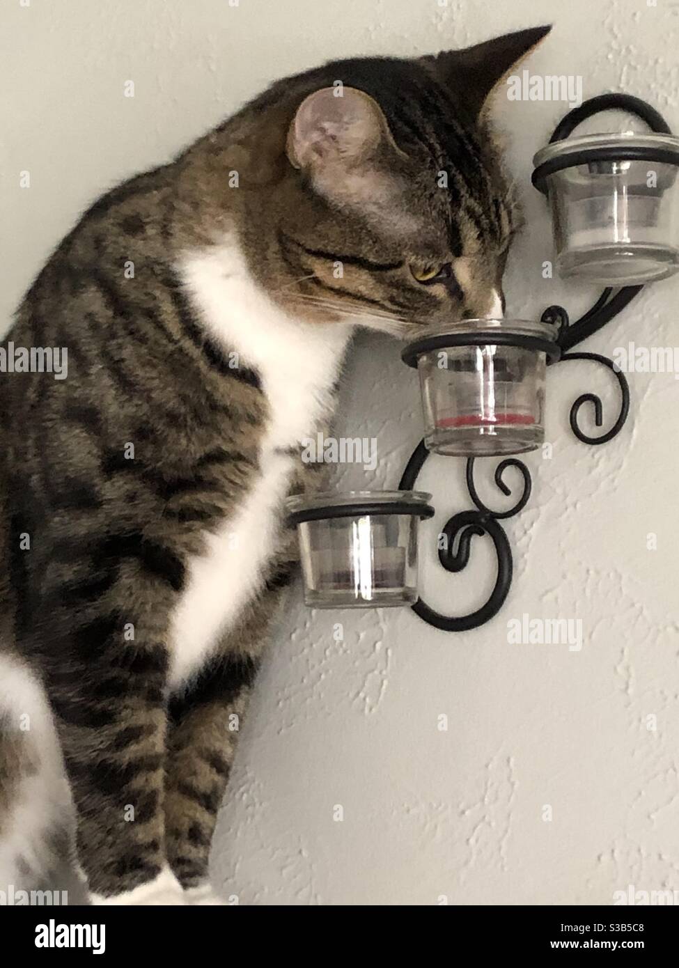 Good Smells High Resolution Stock Photography and Images - Alamy