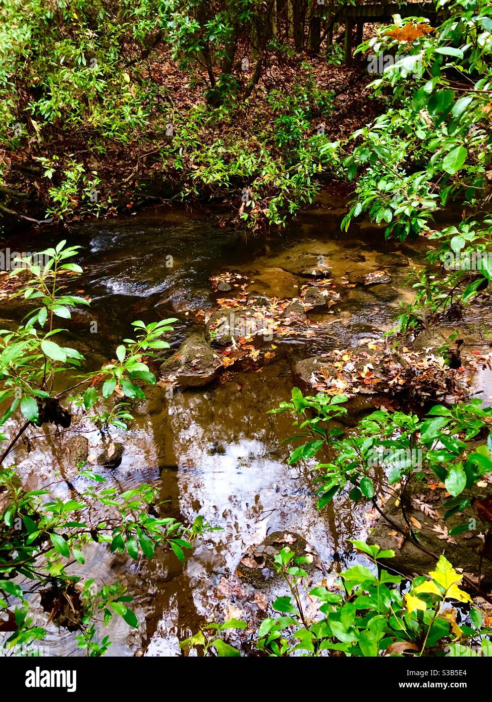 Bear creek hi-res stock photography and images - Alamy