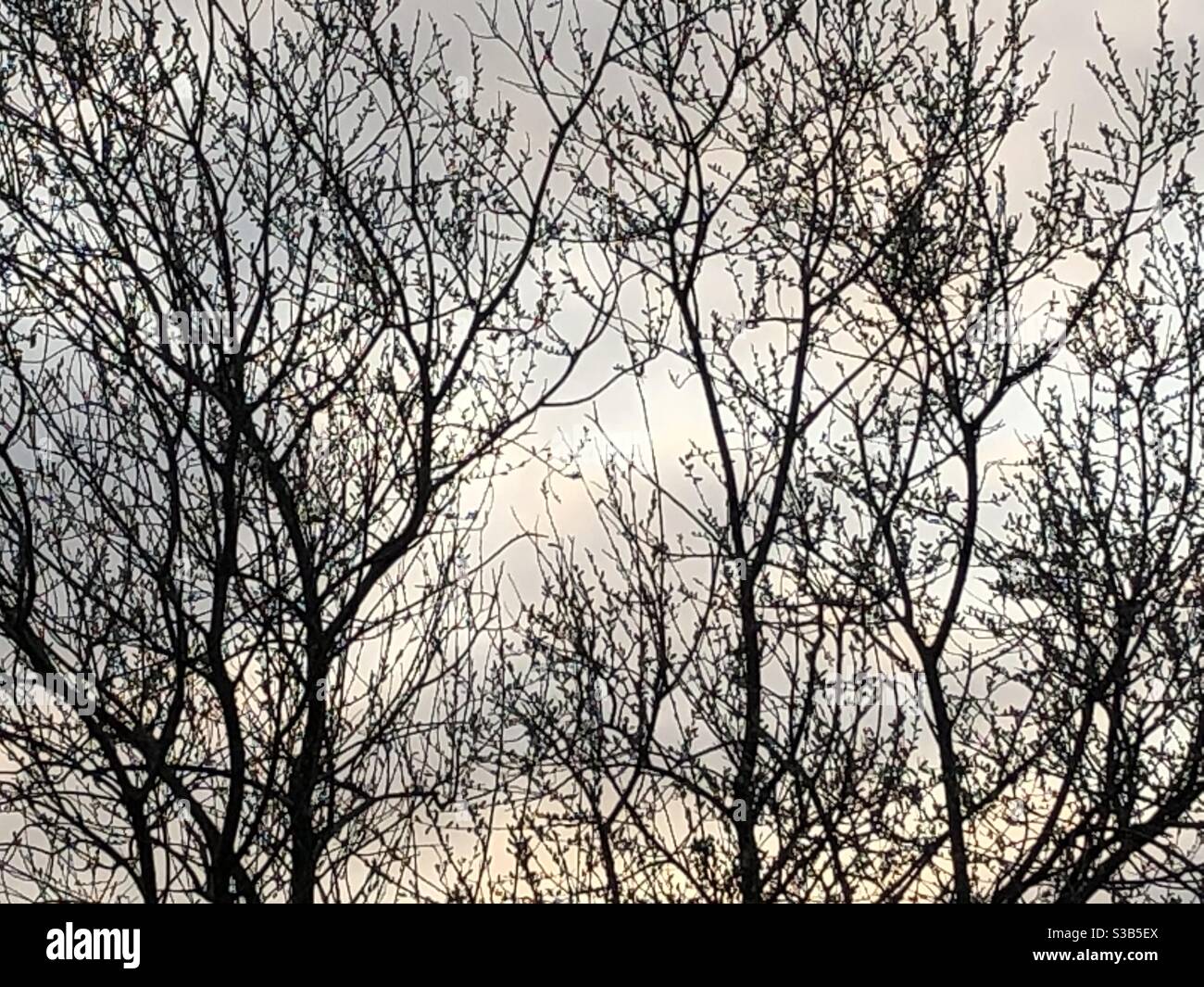 Amalgamation hi-res stock photography and images - Alamy