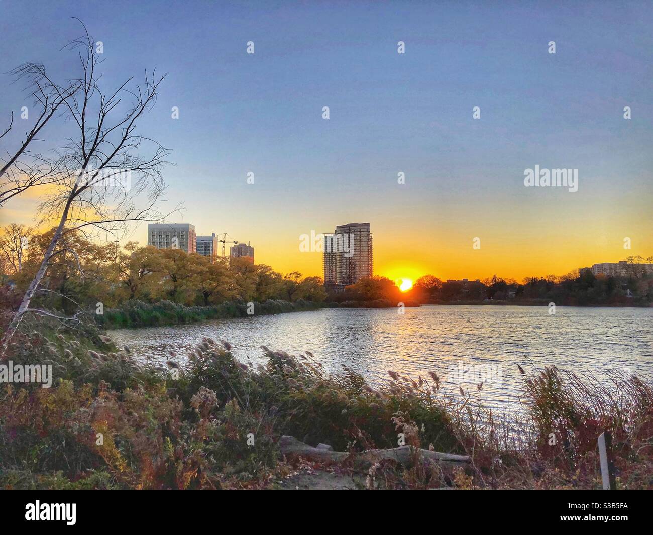 Grenadier pond high park in hi-res stock photography and images - Alamy