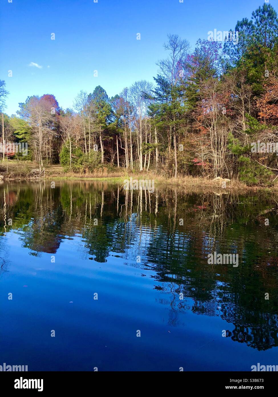 Pond lake trees reflection reflect hi-res stock photography and images ...