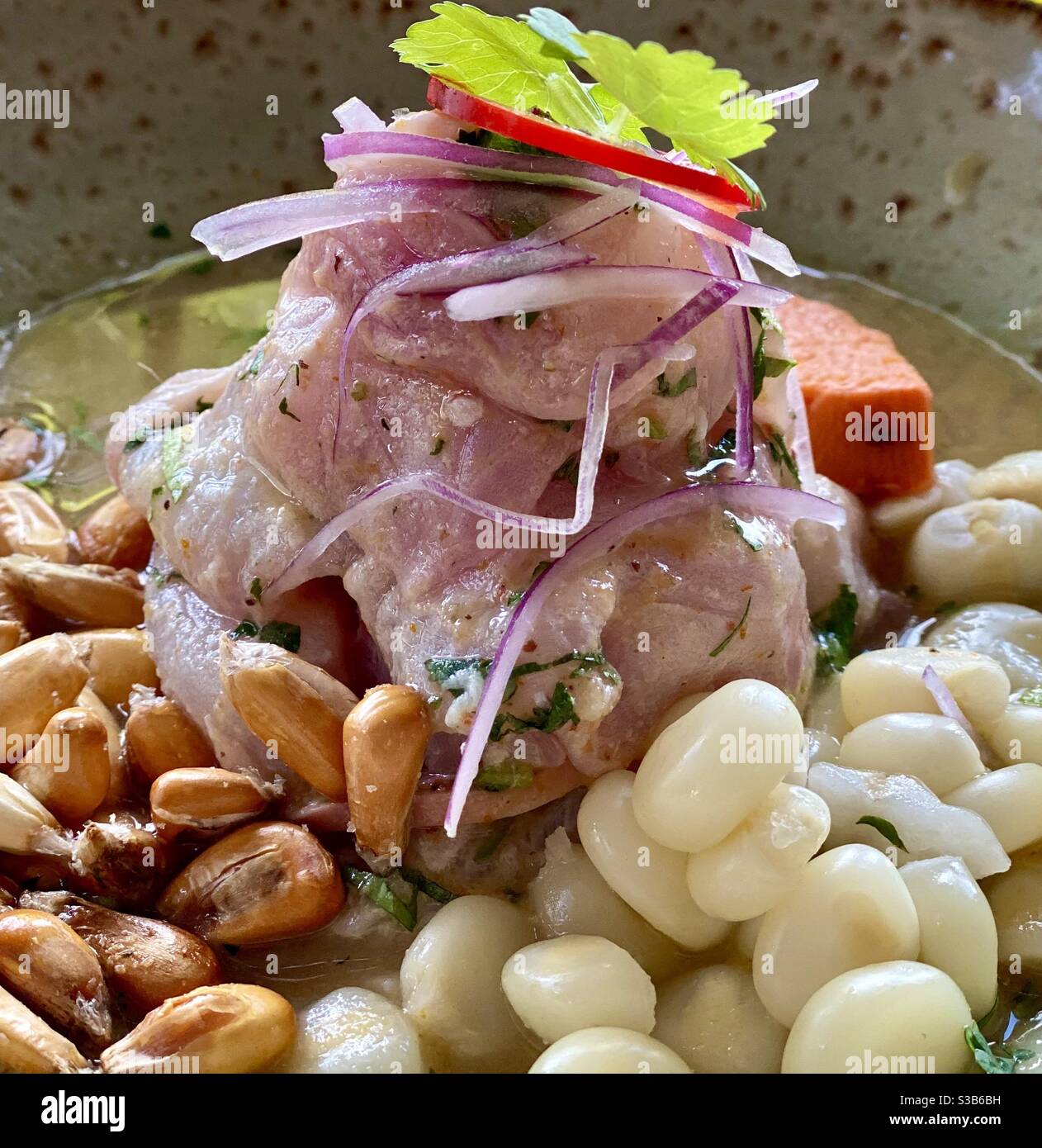 Peruvian ceviche hi-res stock photography and images - Alamy
