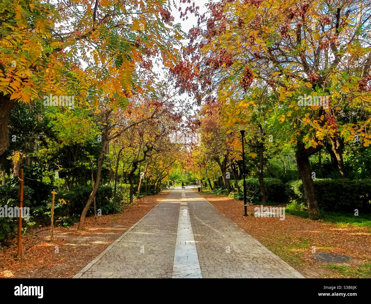 Autumn colors in Athens, Greece, at the park of Pedion tou Areos Stock ...