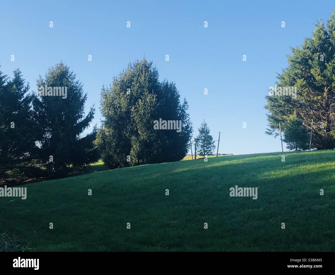 Outside greenery hi-res stock photography and images - Alamy