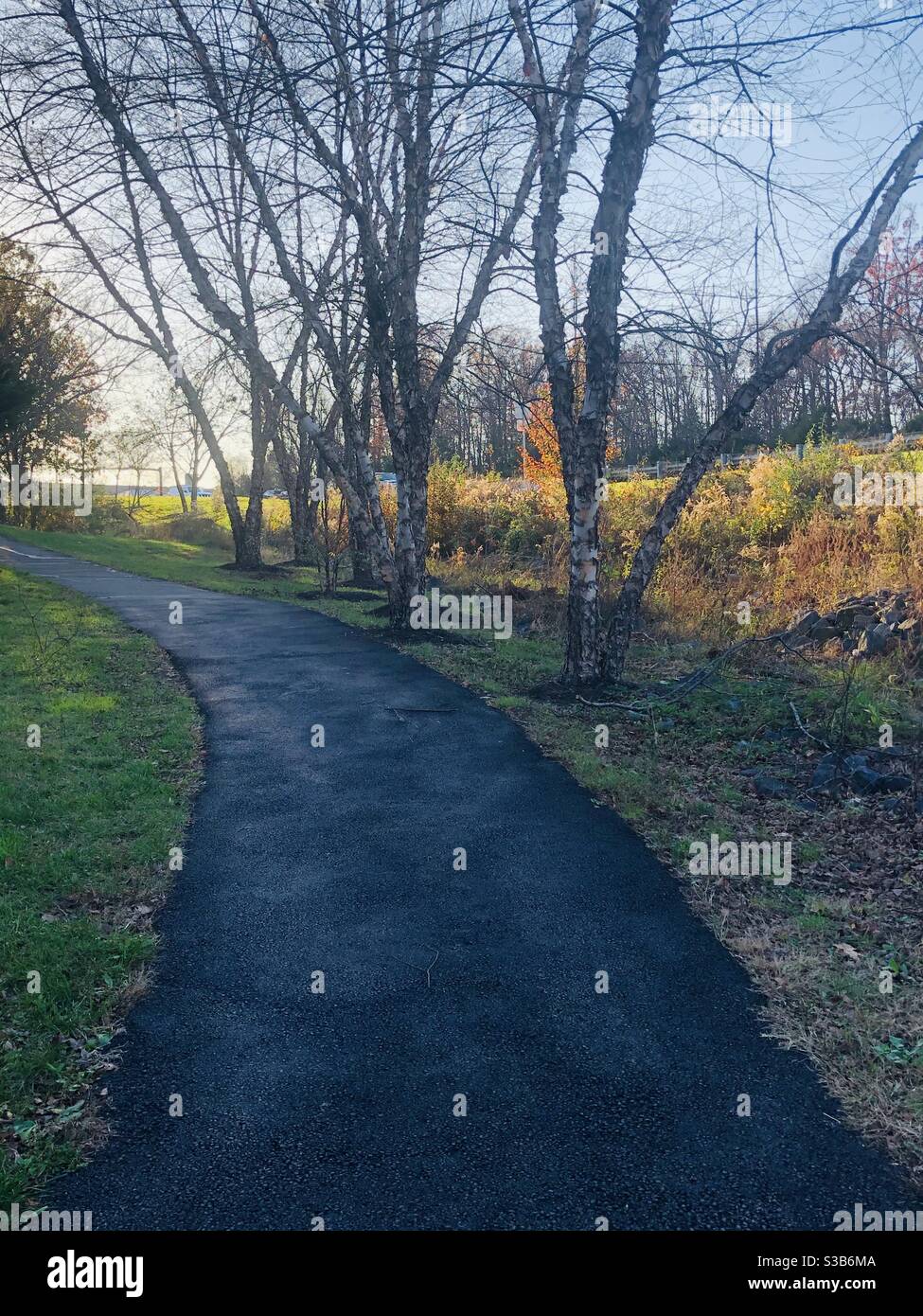 Neighborhood walk hi-res stock photography and images - Alamy