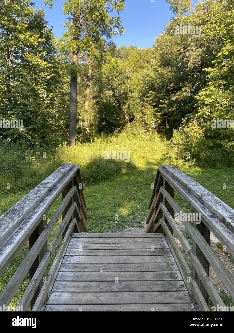 Bridge in nature hi-res stock photography and images - Alamy