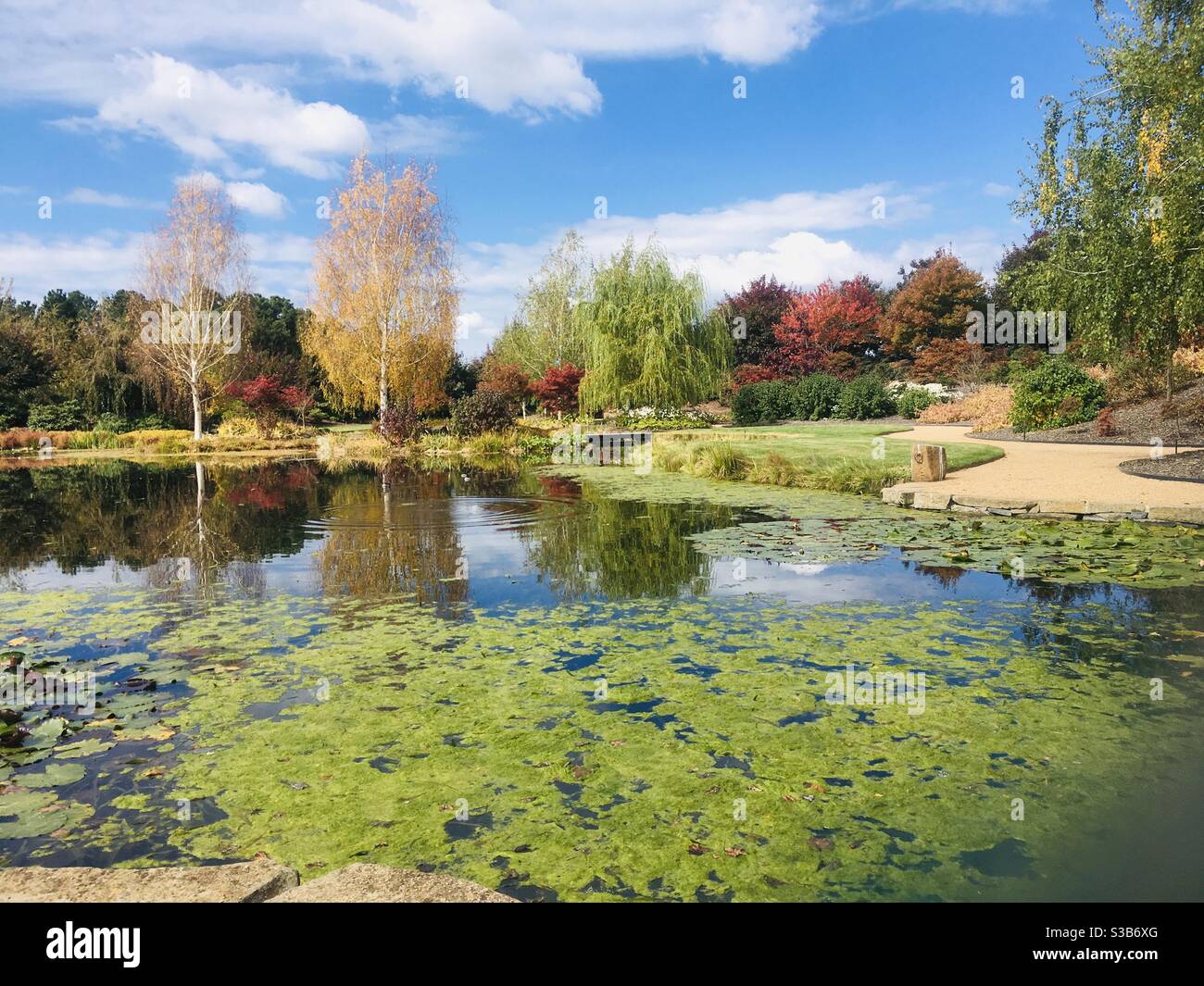 Mayfield gardens australia hi-res stock photography and images - Alamy