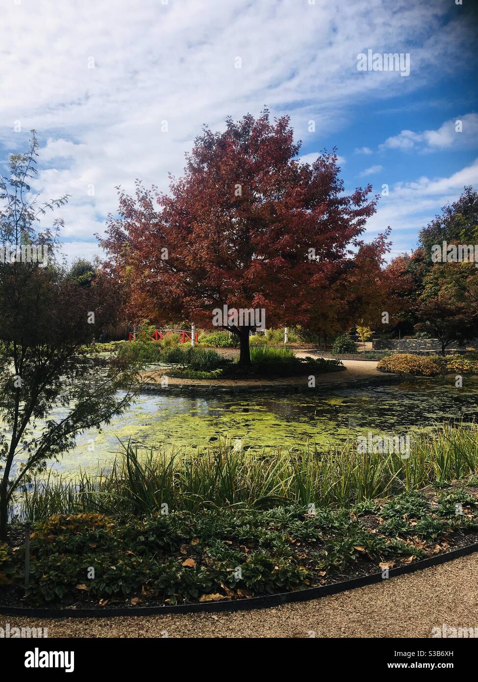 Mayfield gardens australia hi-res stock photography and images - Alamy