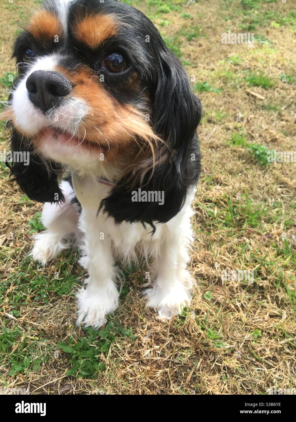 Theo King High Resolution Stock Photography and Images - Alamy