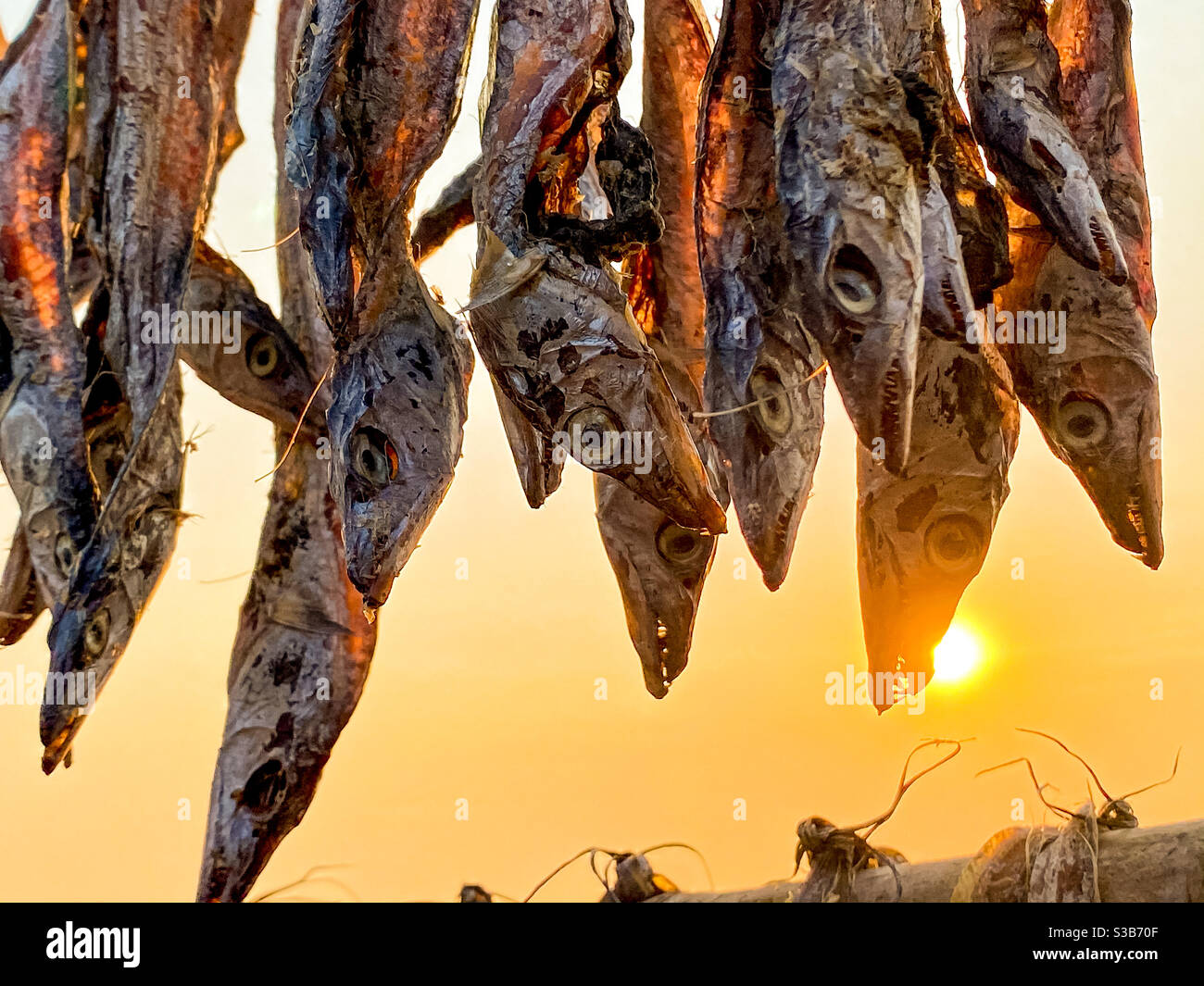 Mumbai fish hi-res stock photography and images - Alamy