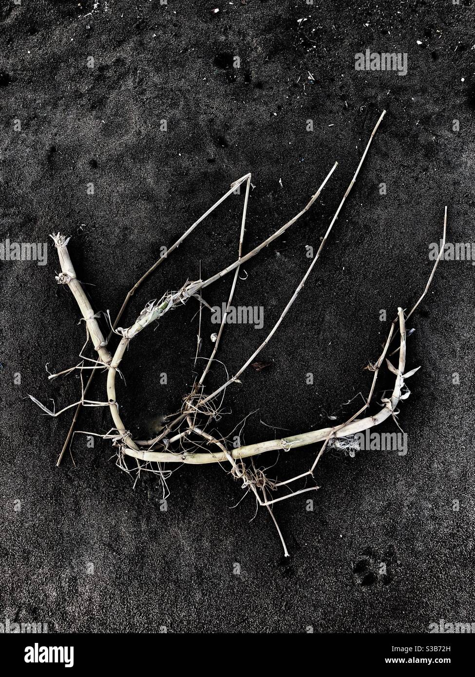 Artistic Still life image of a broken straw on sandy beach Stock Photo ...