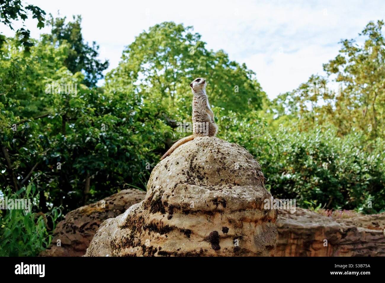 Very high alert hi-res stock photography and images - Alamy