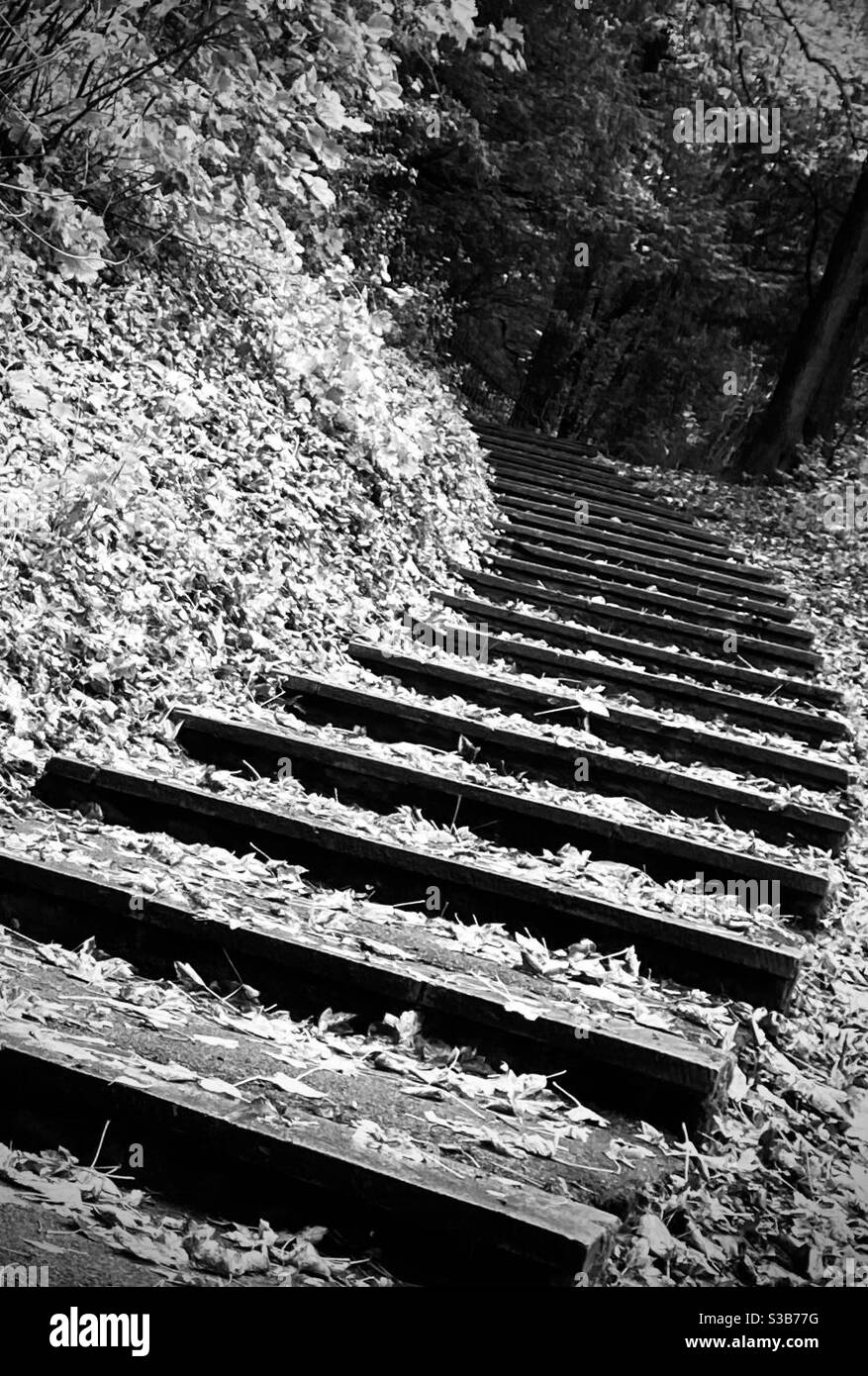 Winding steps hi-res stock photography and images - Alamy