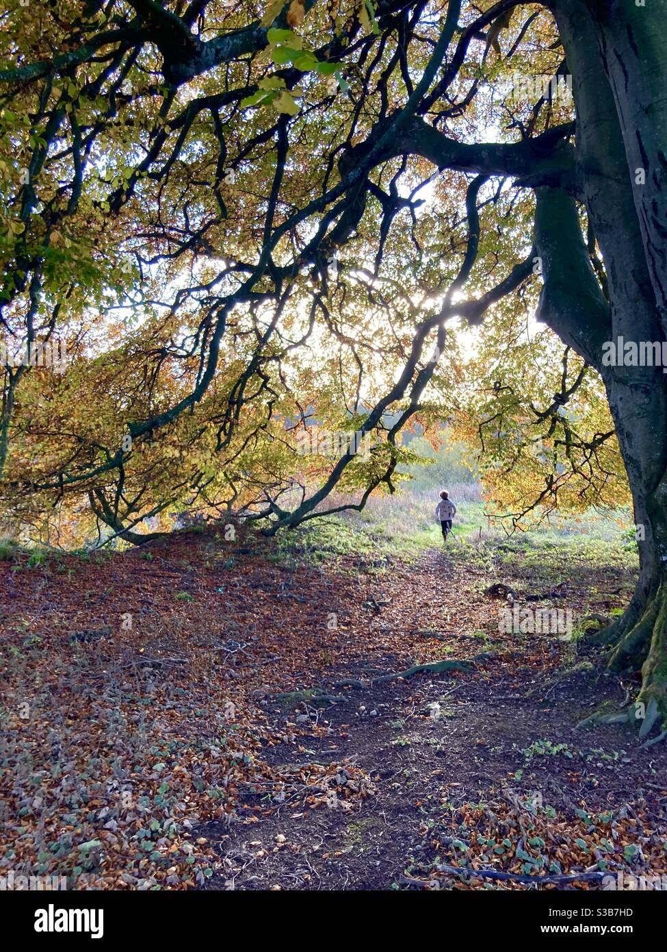 Childhood autumn hi-res stock photography and images - Alamy