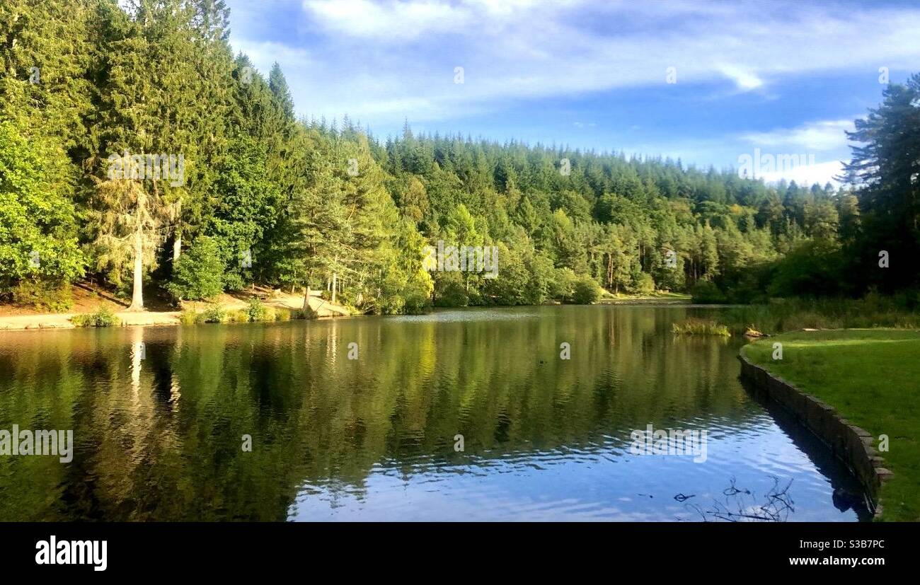 Mallards pike lake hi-res stock photography and images - Alamy