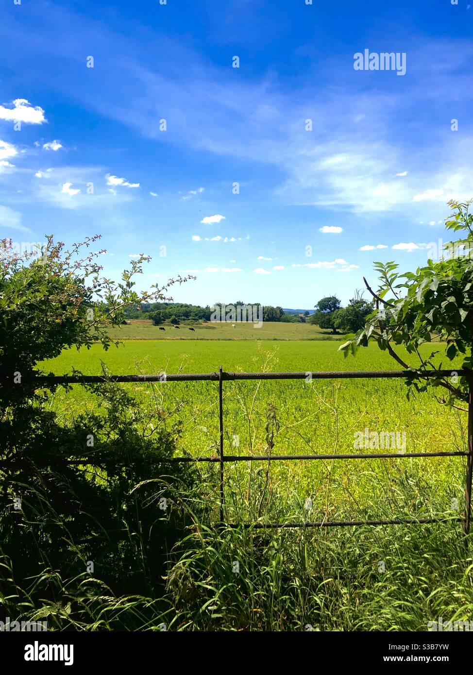 Countryside fence hi-res stock photography and images - Alamy