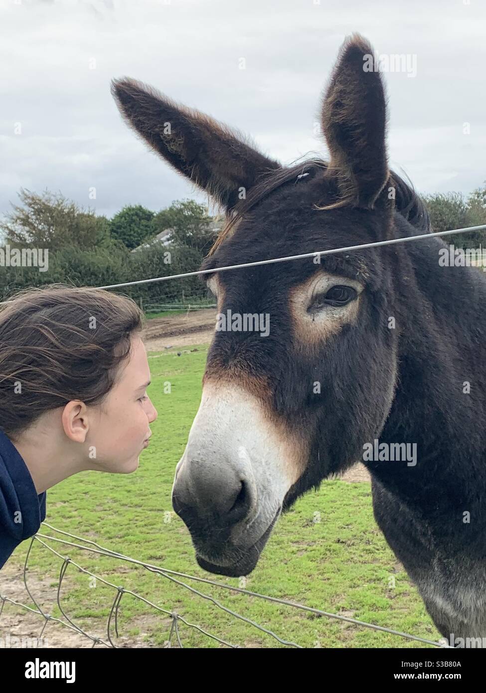 Love animal hi-res stock photography and images - Alamy