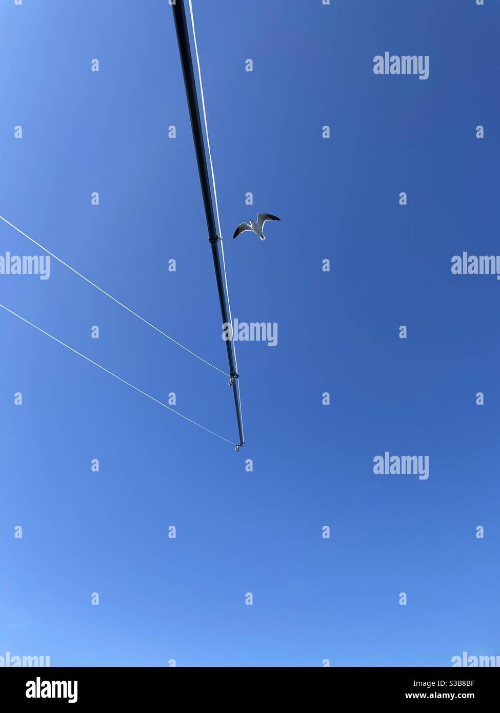 Flying deep hi-res stock photography and images - Alamy