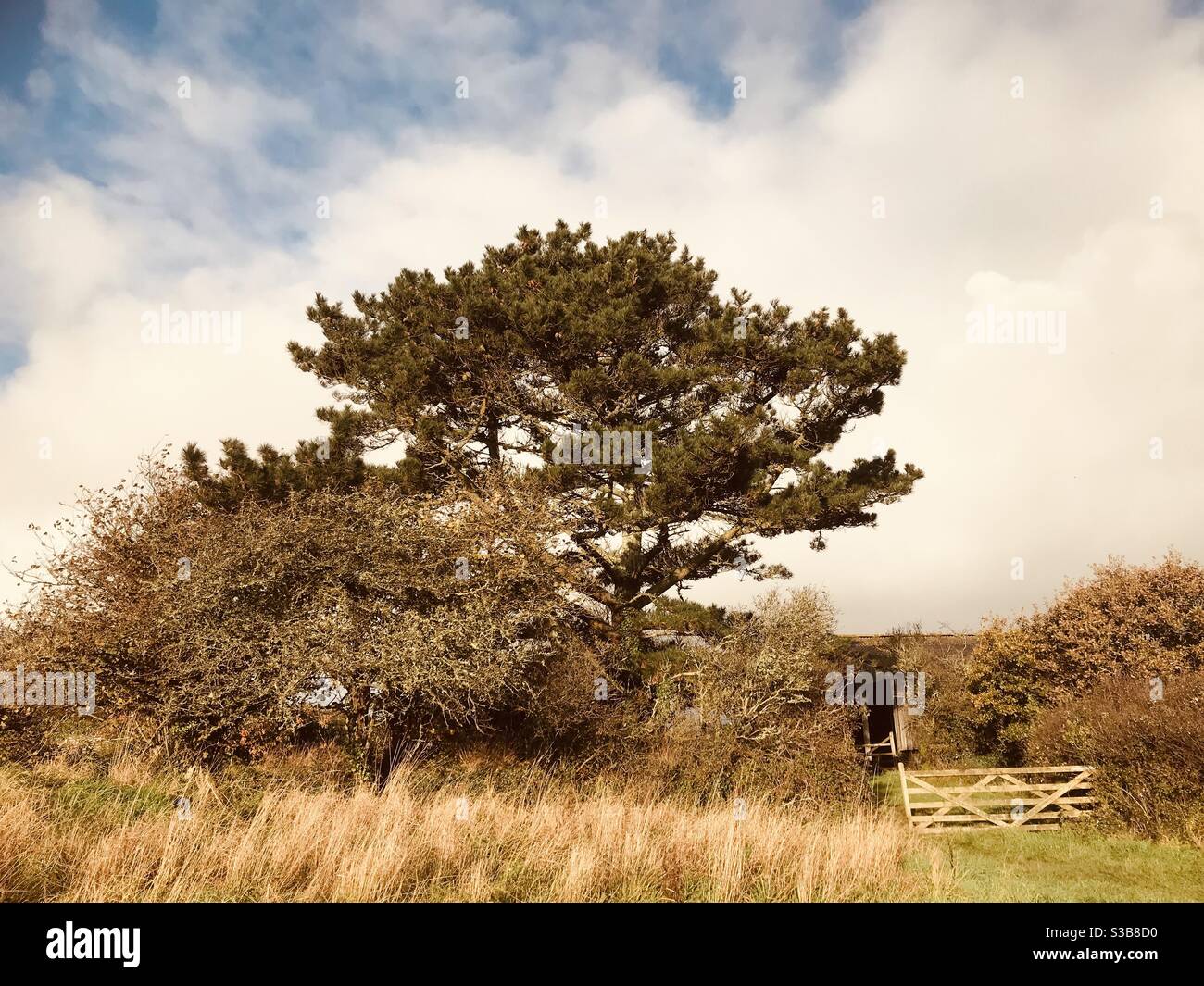 Cornish rural beauty hi-res stock photography and images - Alamy