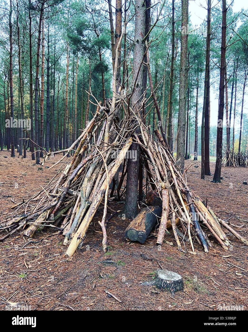 Wooden lean to built in the woods at Cannock Chase Stock Photo - Alamy