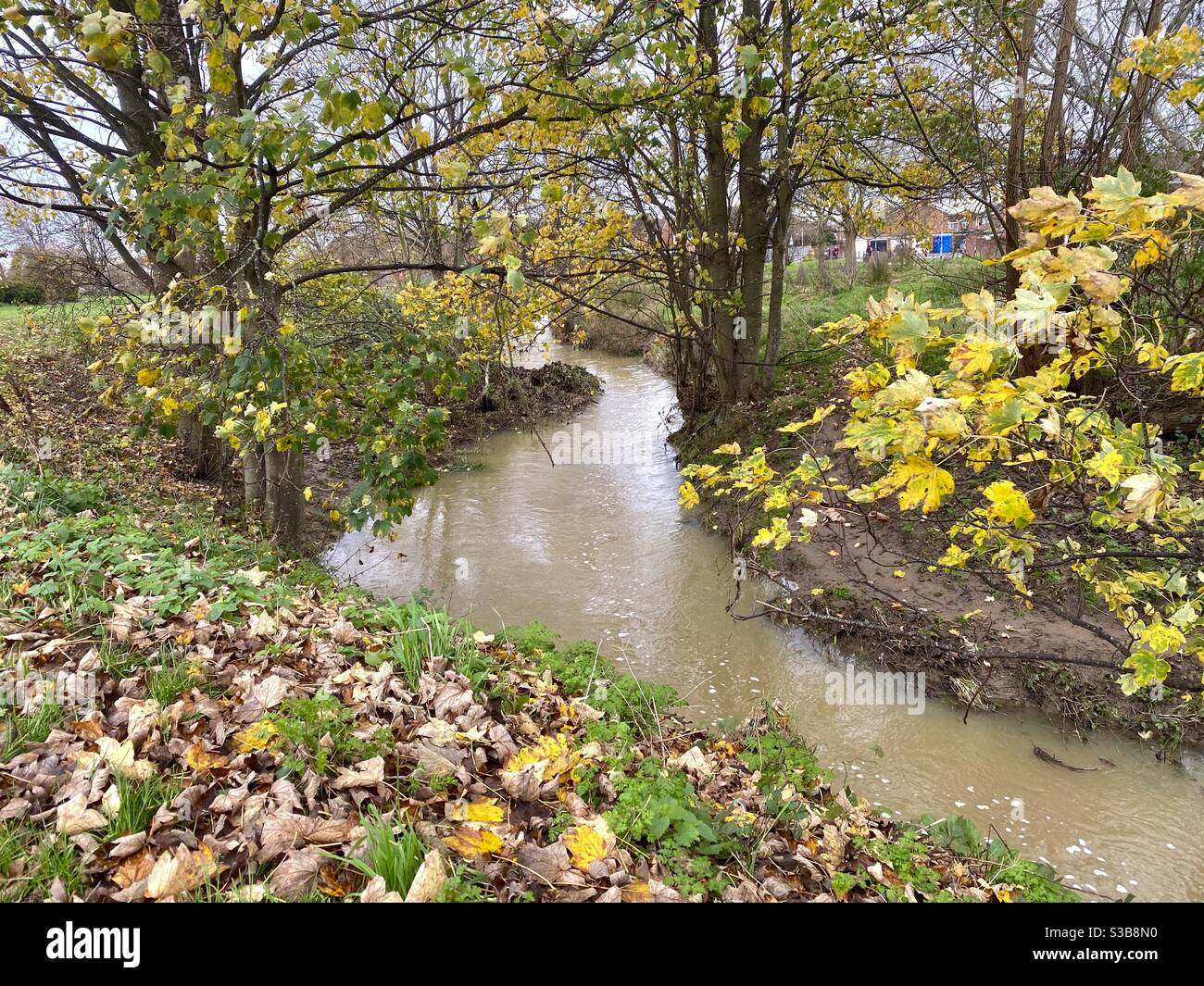 Along the river bank hi-res stock photography and images - Alamy