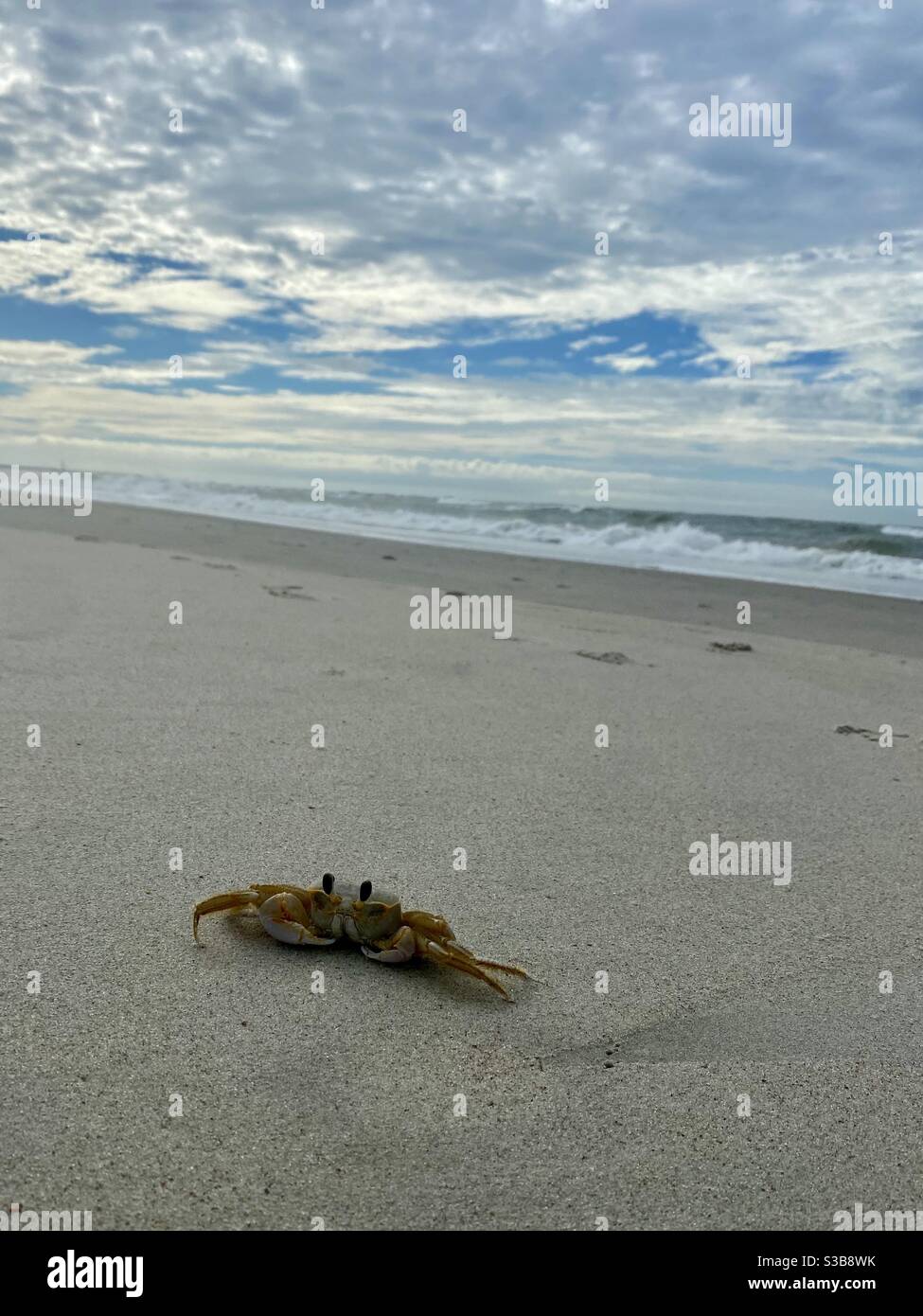 Atlantic Beach, North Carolina High Resolution Stock Photography and ...