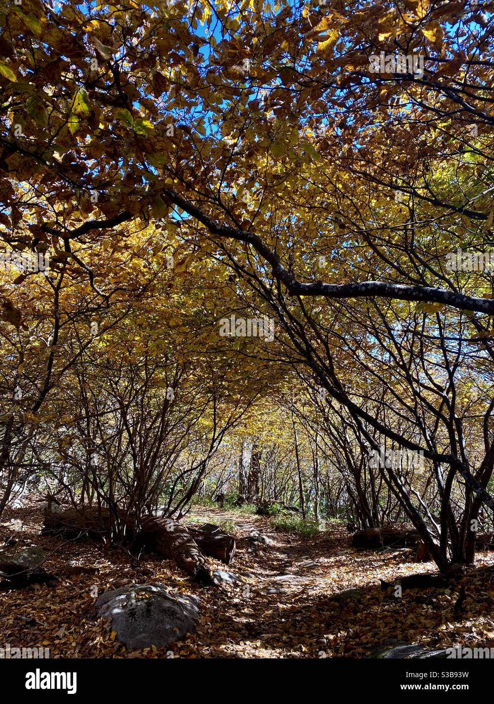 Hike shenandoah hi-res stock photography and images - Alamy