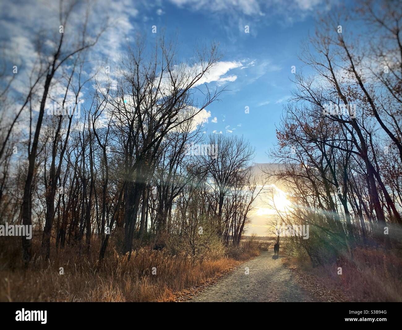 Urban, fall trail at sunset Stock Photo - Alamy